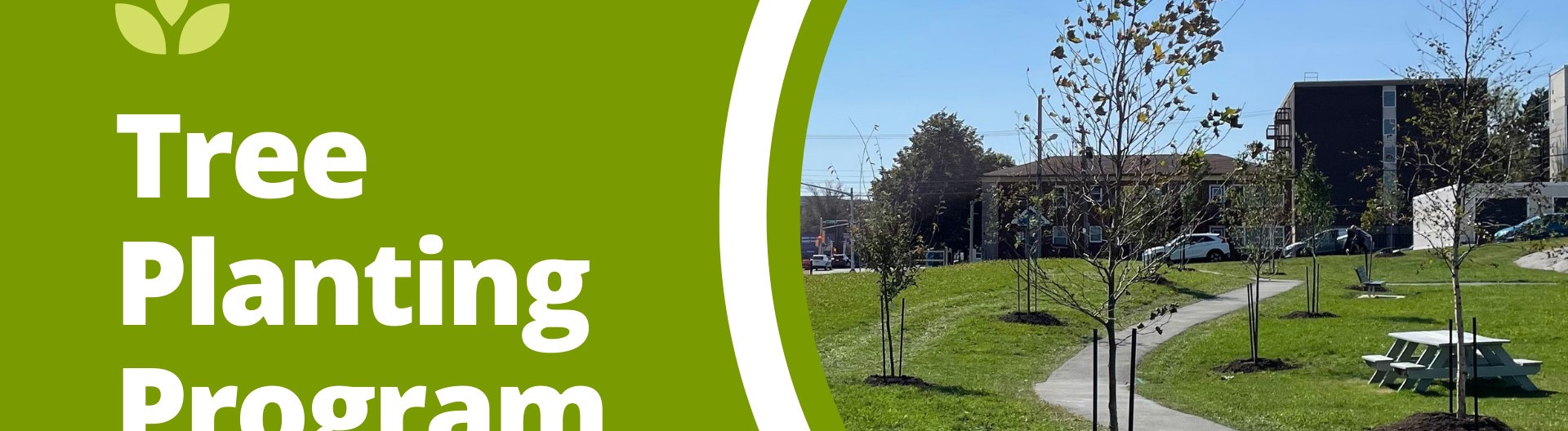 Tree Planting | Halifax