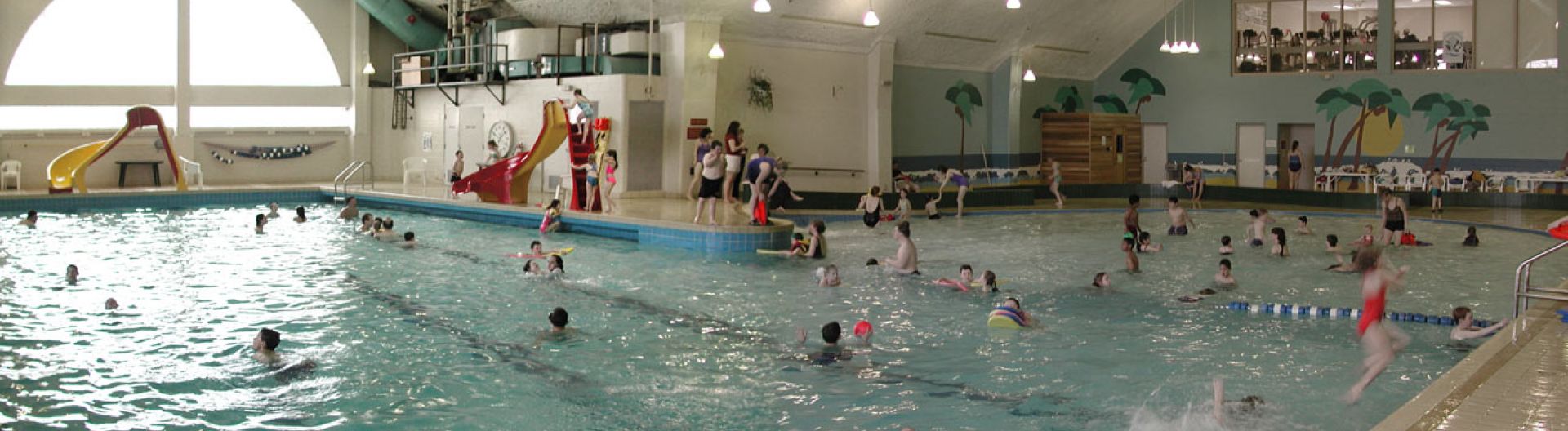 District 11 - Spryfield - Sambro Loop | Halifax